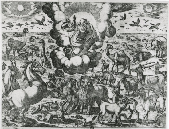 El humano, los animales y el plan de Dios para cada uno - Camino al Regreso